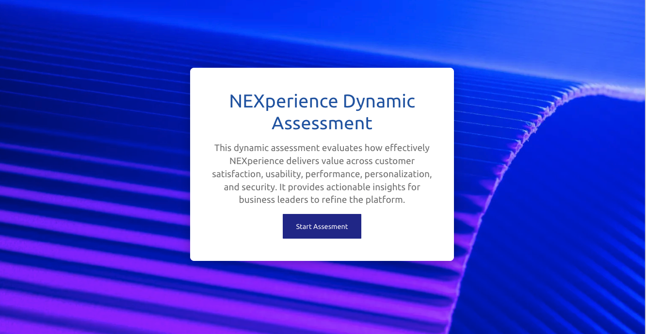 NEXperience Assessment